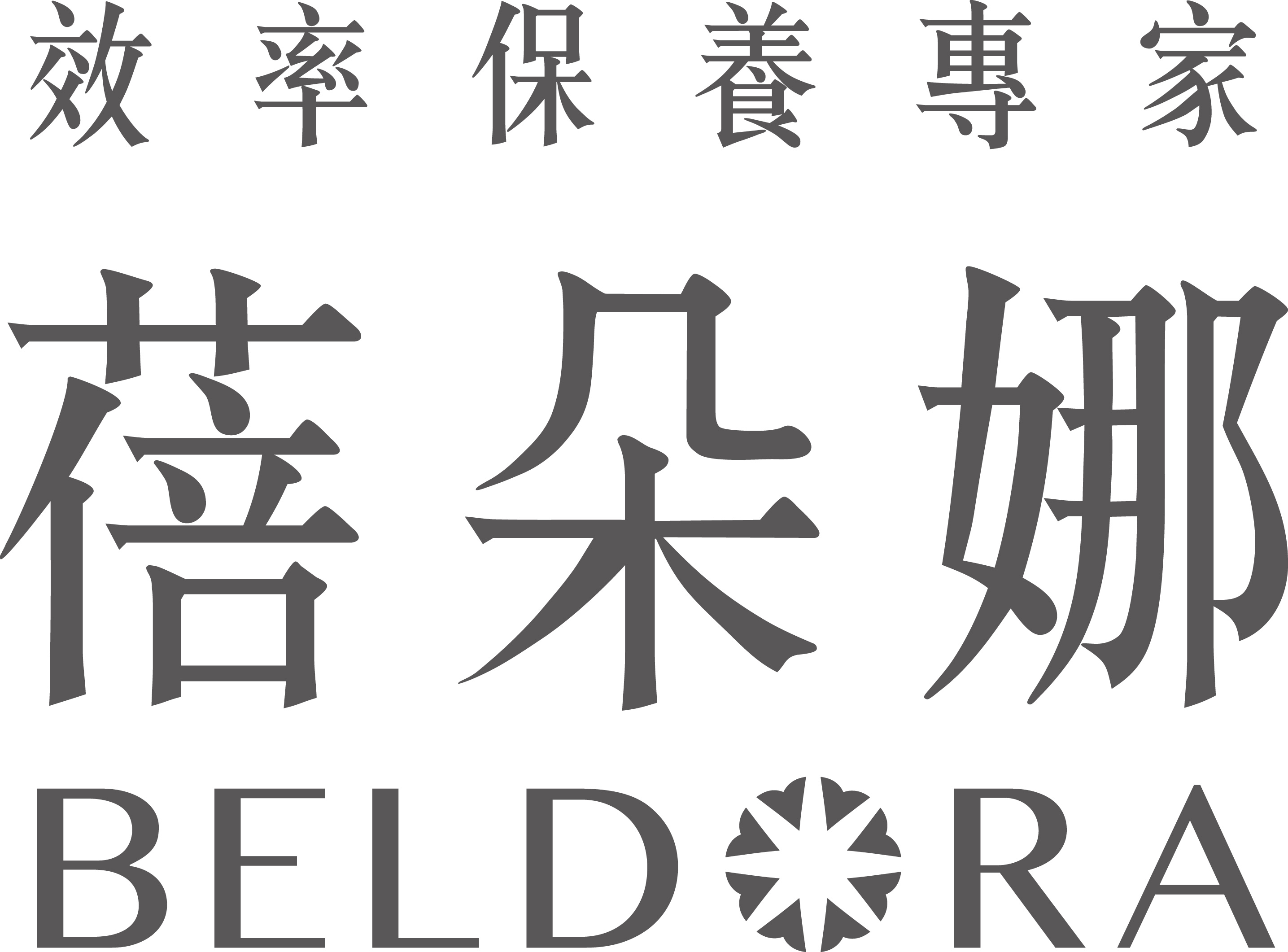 BELDORA 蓓朵娜數據分析一覽 | coseek