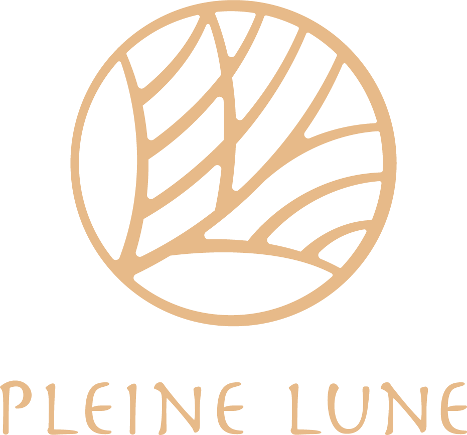 Pleine Lune 悦穆數據分析一覽 | coseek