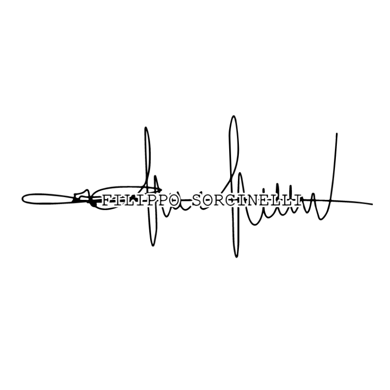 Filippo Sorcinelli數據分析一覽 | coseek