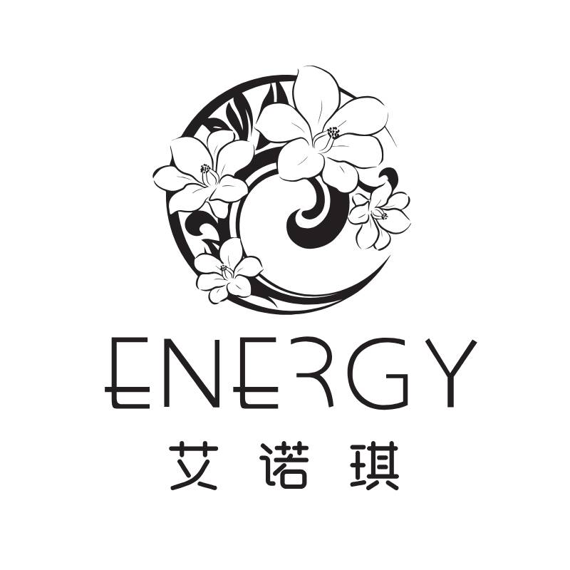 ENERGY 艾諾琪數據分析一覽 | coseek