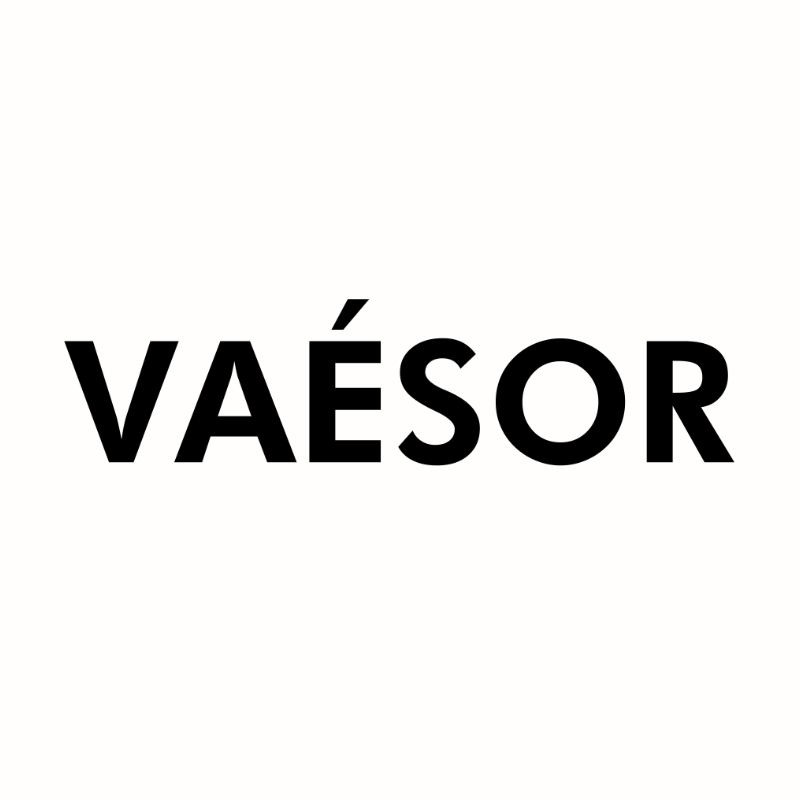 VAÉSOR 璠熙數據分析一覽 | coseek