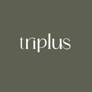 Triplus數據分析一覽 | coseek