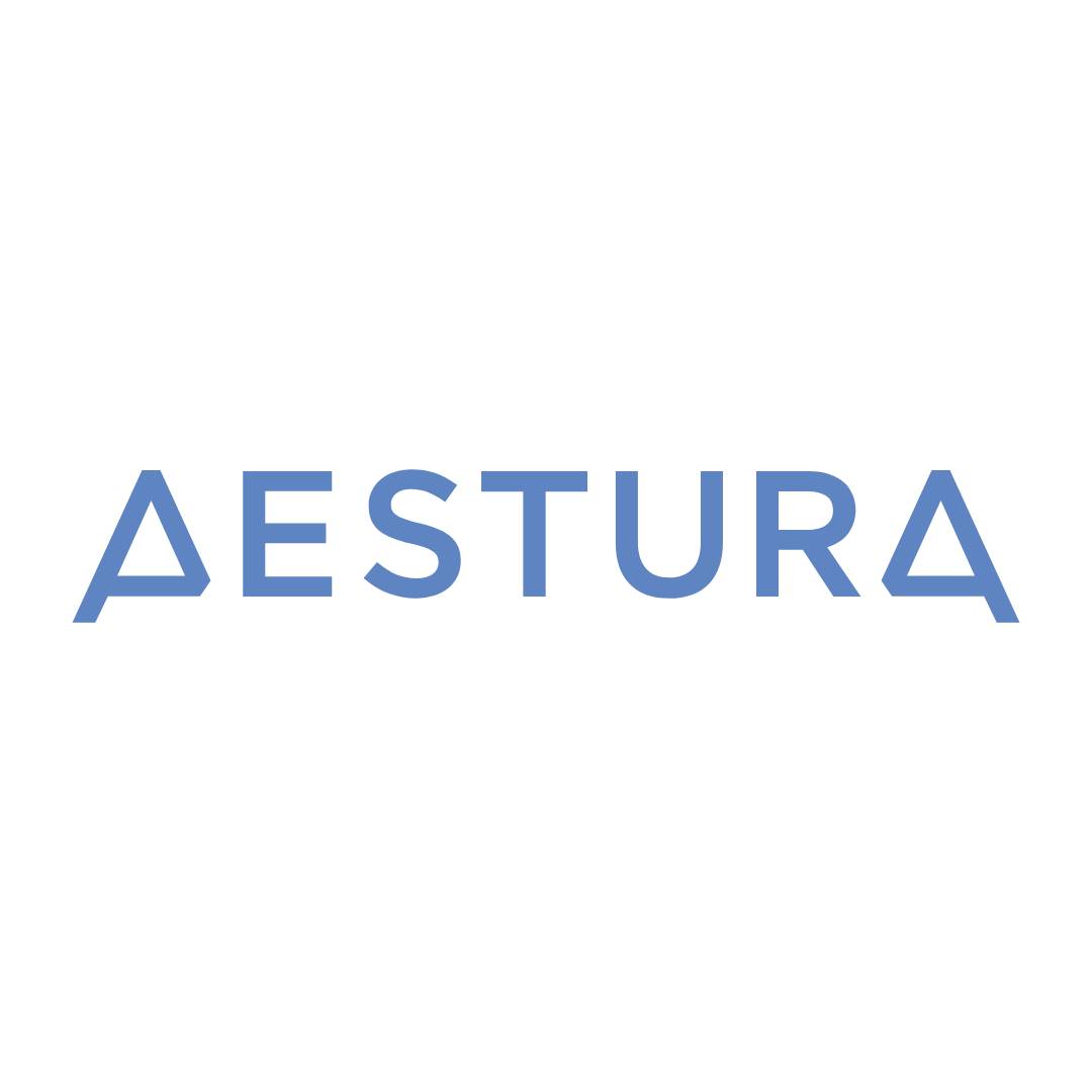 Aestura 璦絲特蘭數據分析一覽 | coseek