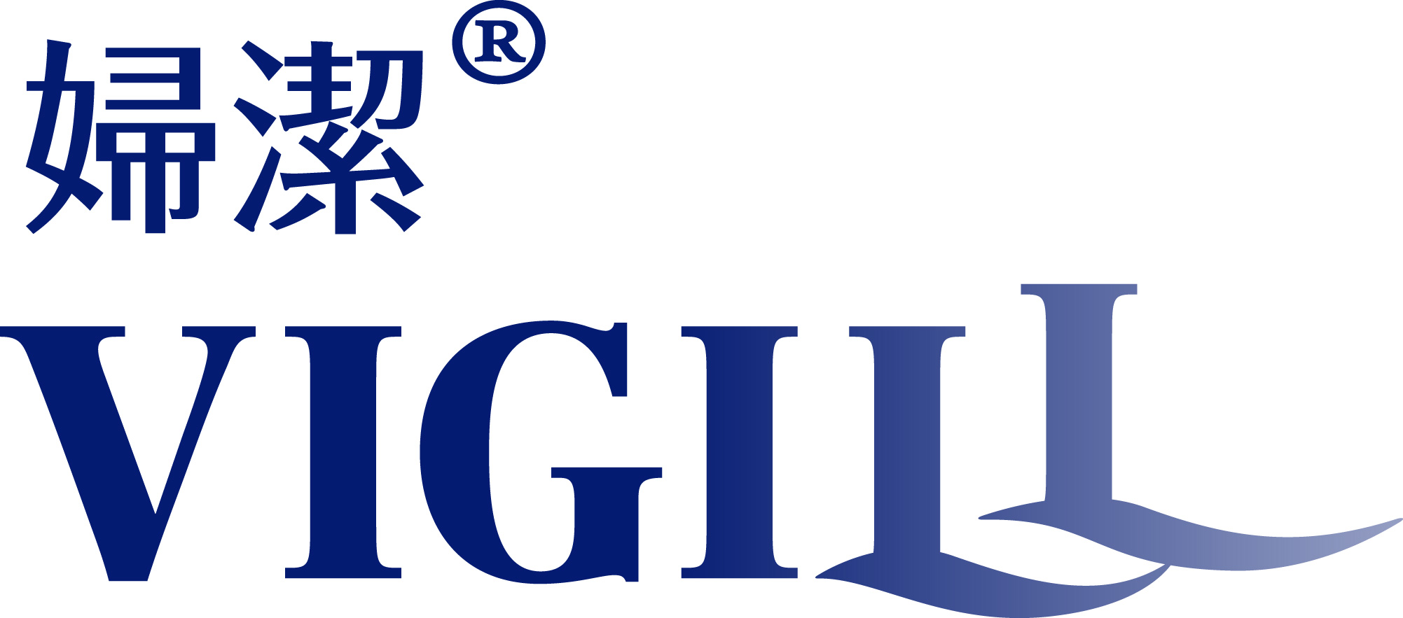 VIGILL 婦潔數據分析一覽 | coseek